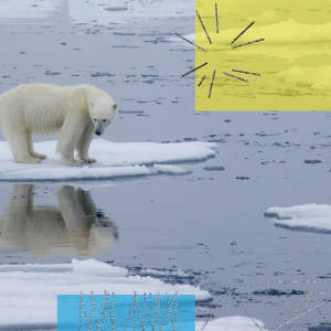 The climate crisis explained in 10 charts