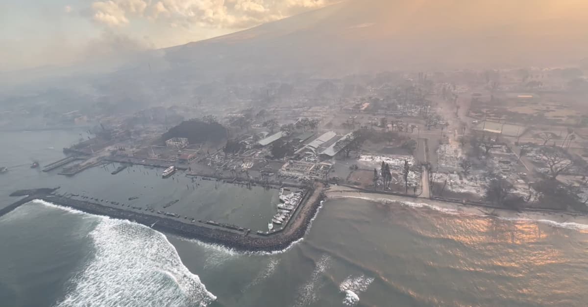 Hawaii wildfires: how did the deadly Maui fire start and what caused it?