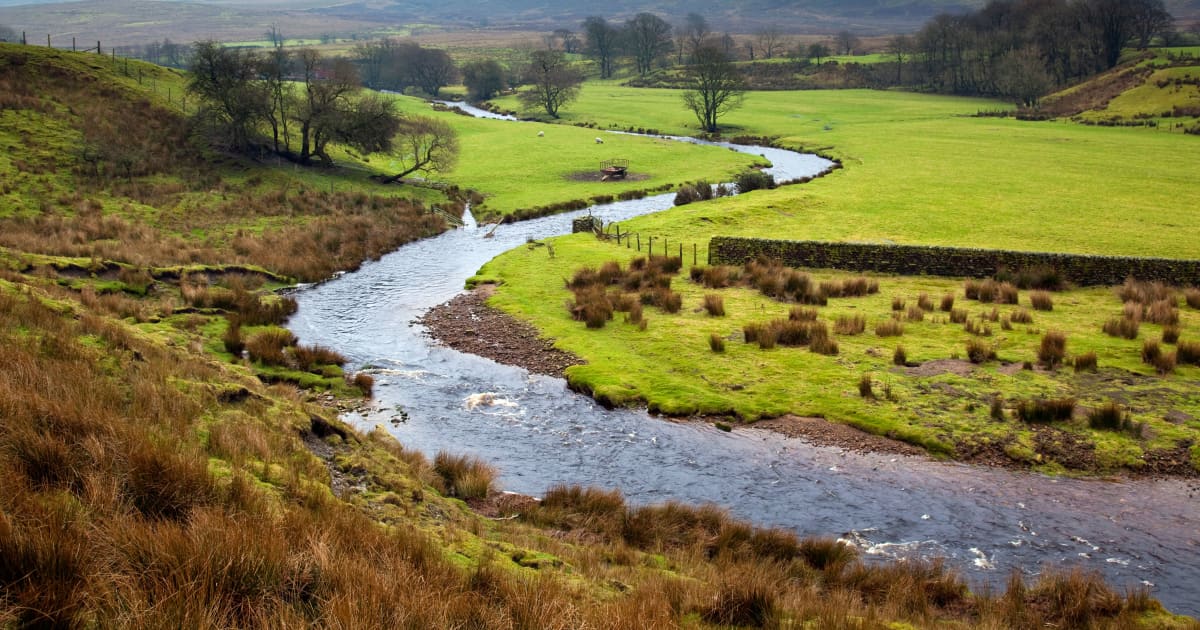 Revealed: scale of ‘forever chemical’ pollution across UK and Europe