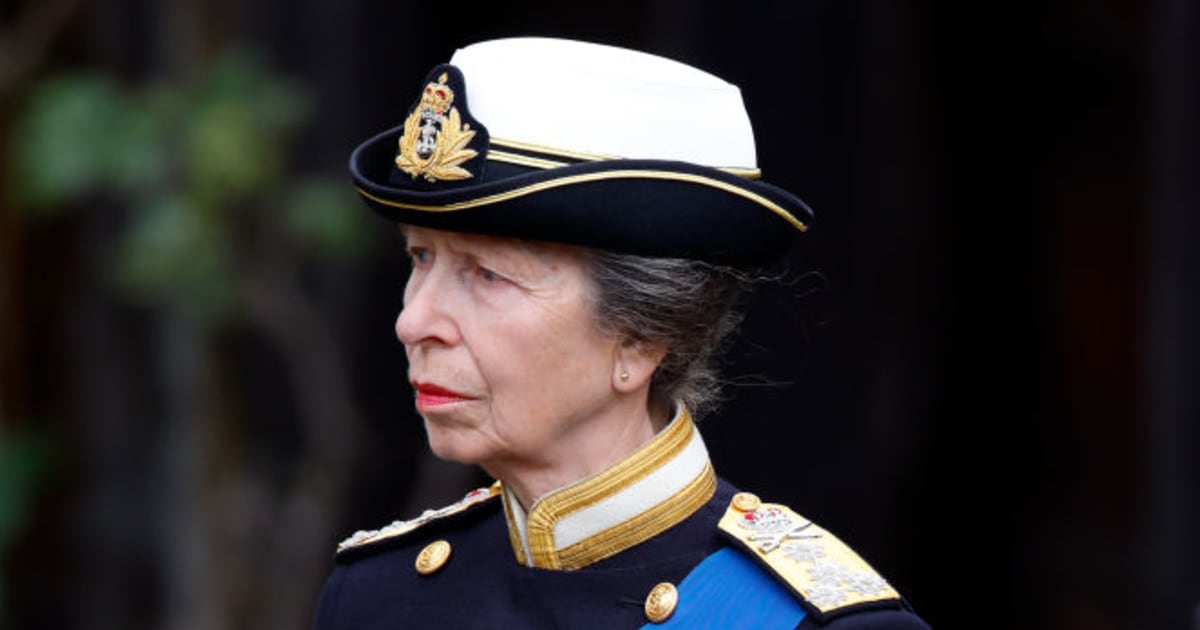 The Truth About Princess Annes Relationship With Prince William