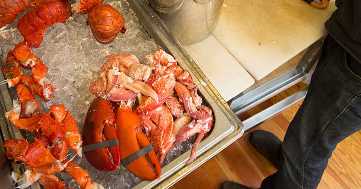 What Happened To Cousins Maine Lobster After Shark Tank? What Happened To Cousins Maine Lobster After Shark Tank?