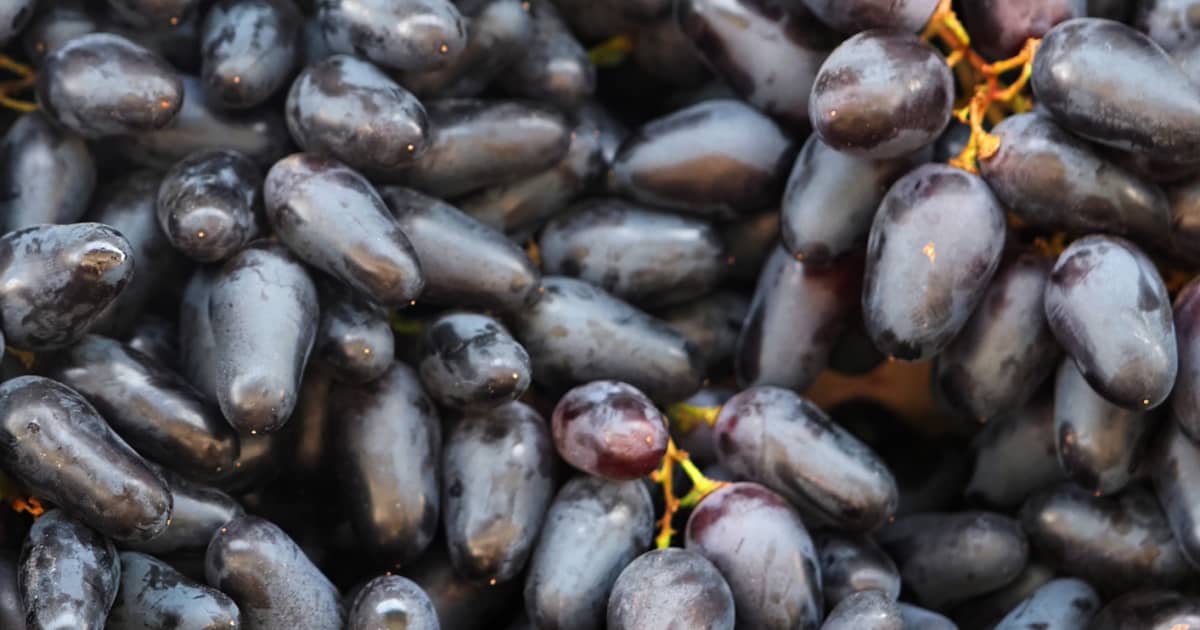 The Unique Grape Variety That Took Nearly A Decade To Create The Unique Grape Variety That Took Nearly A Decade To Create