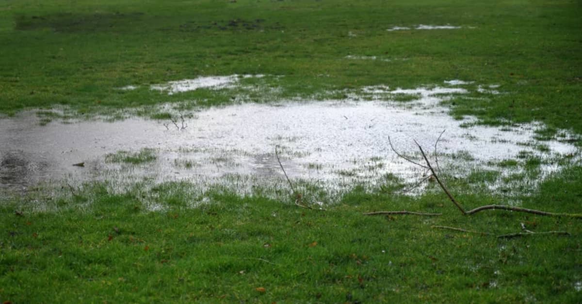 The Best Way To Fix A Waterlogged Lawn The Best Way To Fix A Waterlogged Lawn