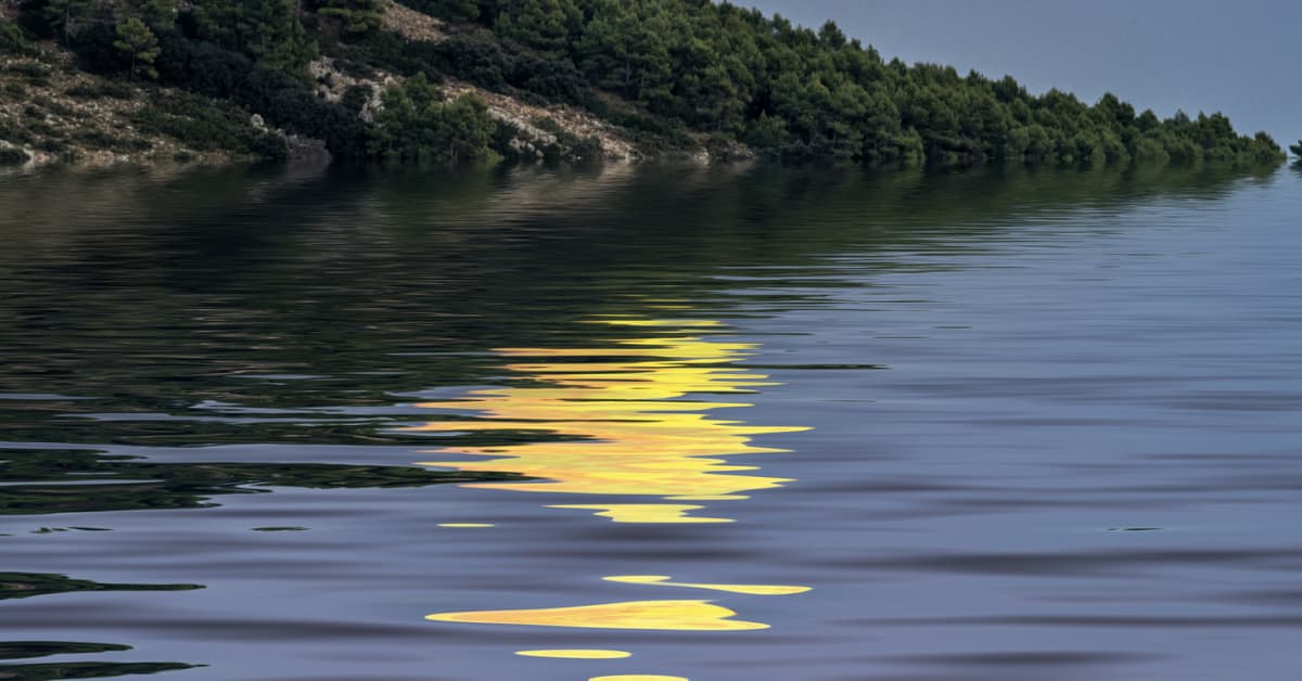 What's The Difference Between Full Moon And New Moon Energy? What's The Difference Between Full Moon And New Moon Energy?