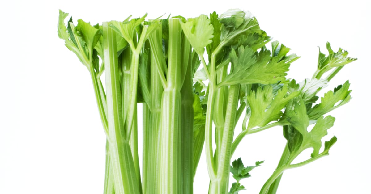 Make Celery Feel Like An Exciting Snack With A Snappy Salt Cure Make Celery Feel Like An Exciting Snack With A Snappy Salt Cure